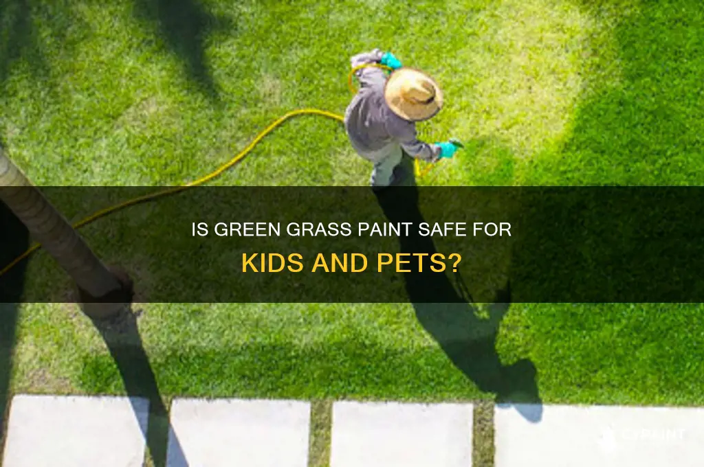 Is Green Grass Paint Safe For Kids And Pets? | CyPaint