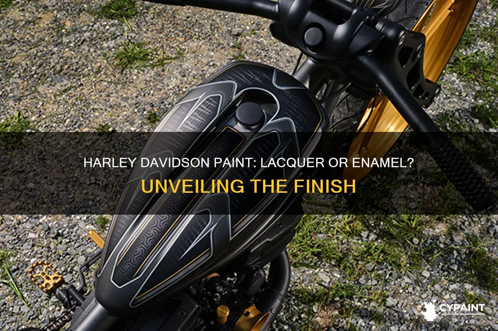 Harley Davidson Paint: Lacquer Or Enamel? Unveiling The Finish | CyPaint