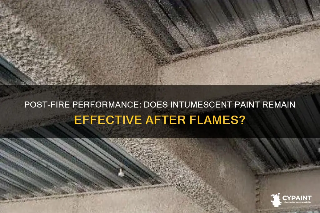Post-Fire Performance: Does Intumescent Paint Remain Effective After ...