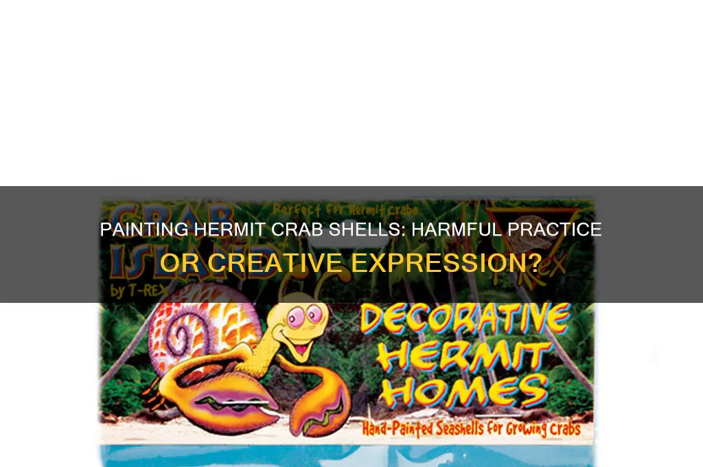 Painting Hermit Crab Shells: Harmful Practice Or Creative Expression ...