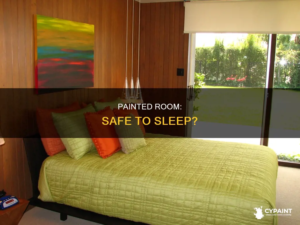 Painted Room: Safe To Sleep? | CyPaint