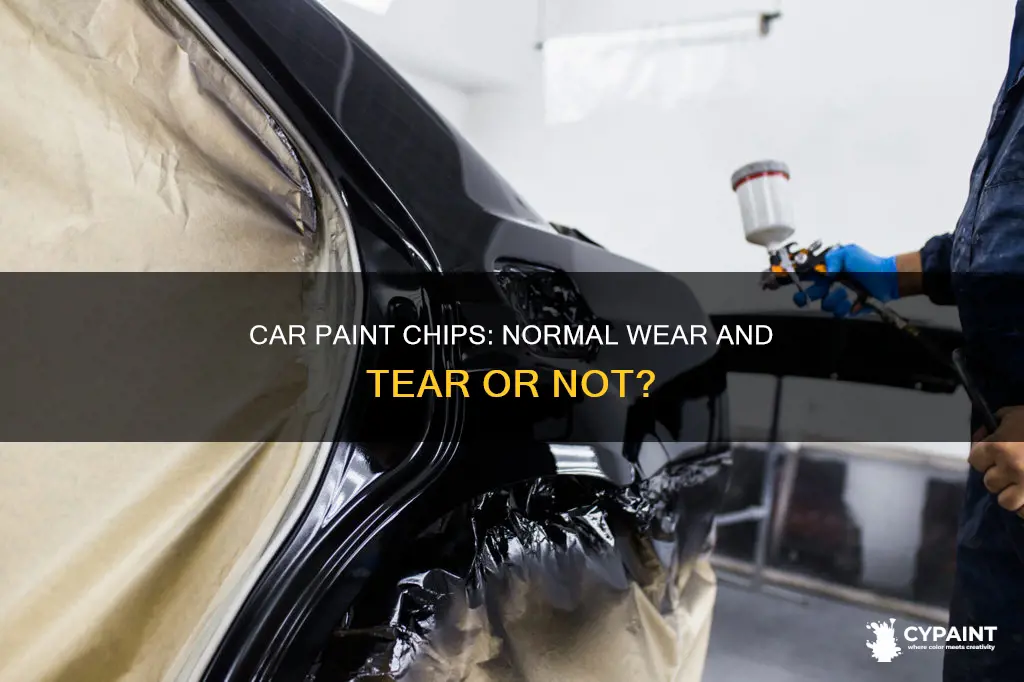 Car Paint Chips: Normal Wear And Tear Or Not? | CyPaint