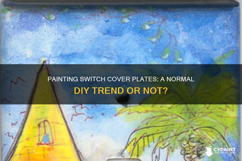 Painting Switch Cover Plates: A Normal Diy Trend Or Not? | CyPaint