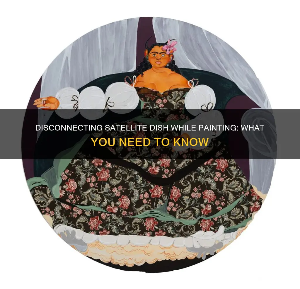 Disconnecting Satellite Dish While Painting: What You Need To Know ...