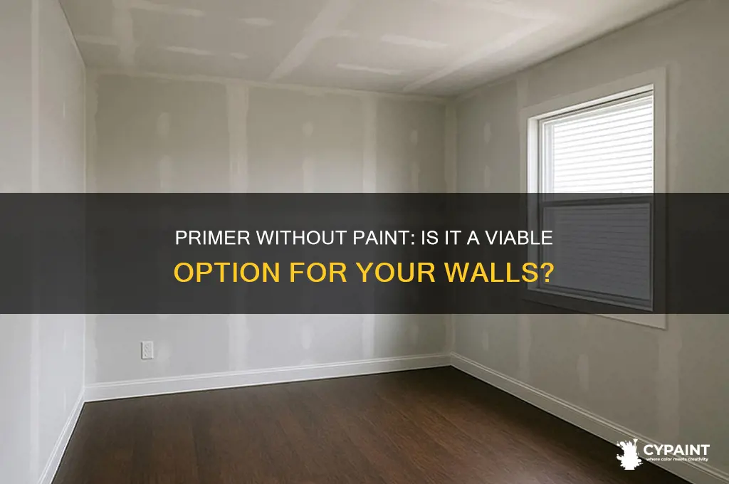 Primer Without Paint: Is It A Viable Option For Your Walls? | CyPaint