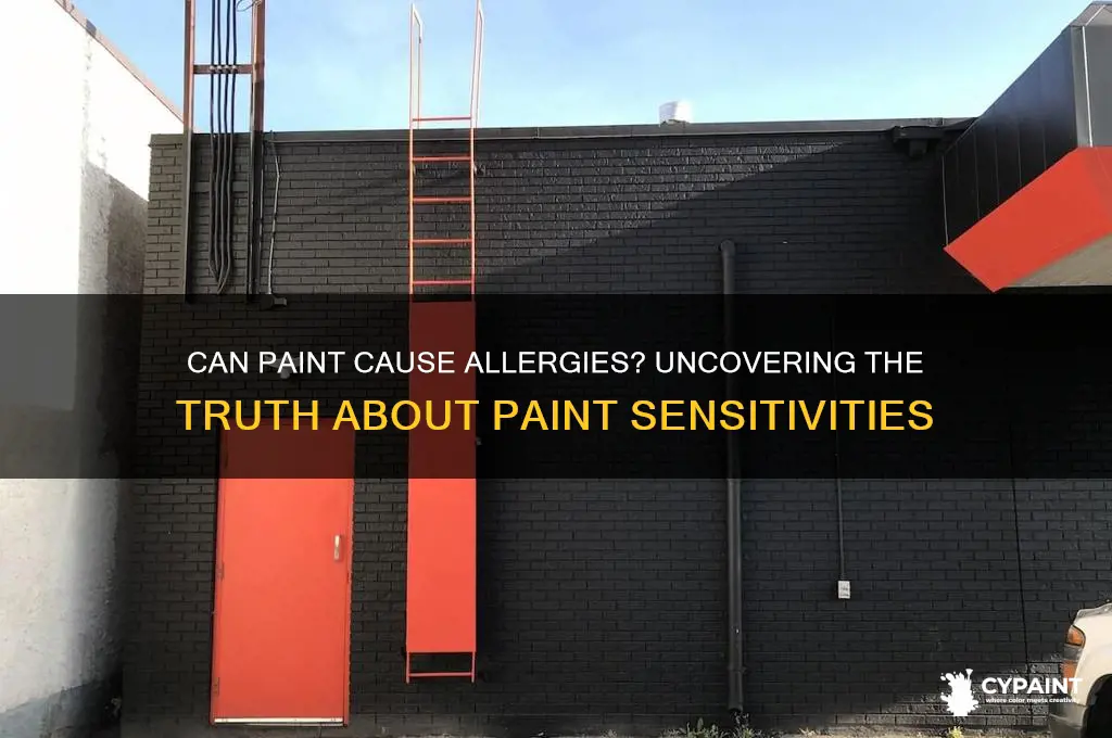 Can Paint Cause Allergies? Uncovering The Truth About Paint ...
