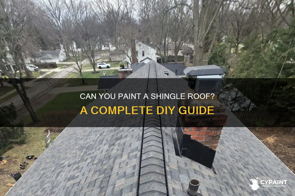 Can You Paint A Shingle Roof? A Complete Diy Guide | CyPaint