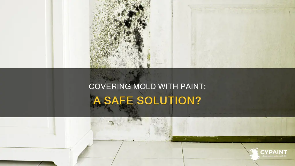 Covering Mold With Paint: A Safe Solution? | CyPaint