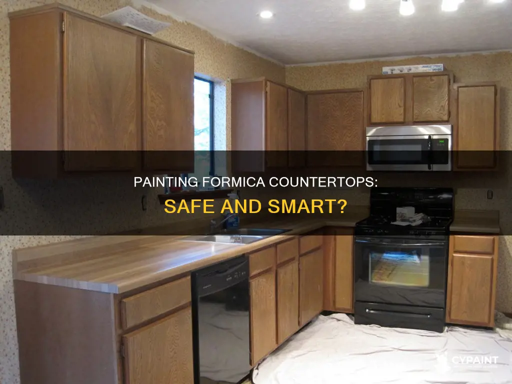 Painting Formica Countertops: Safe And Smart? | CyPaint