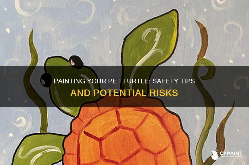 Painting Your Pet Turtle: Safety Tips And Potential Risks | CyPaint
