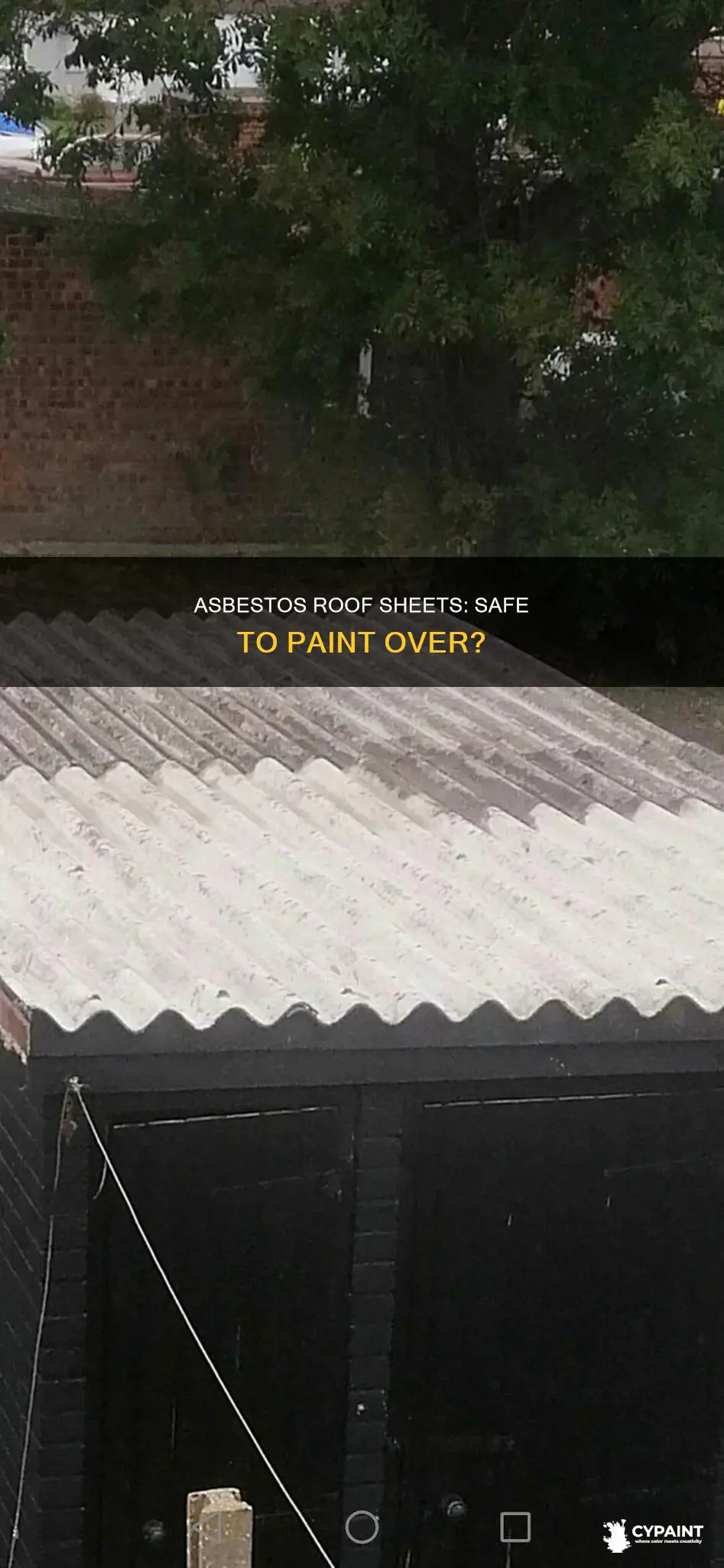 Asbestos Roof Sheets: Safe To Paint Over? | CyPaint