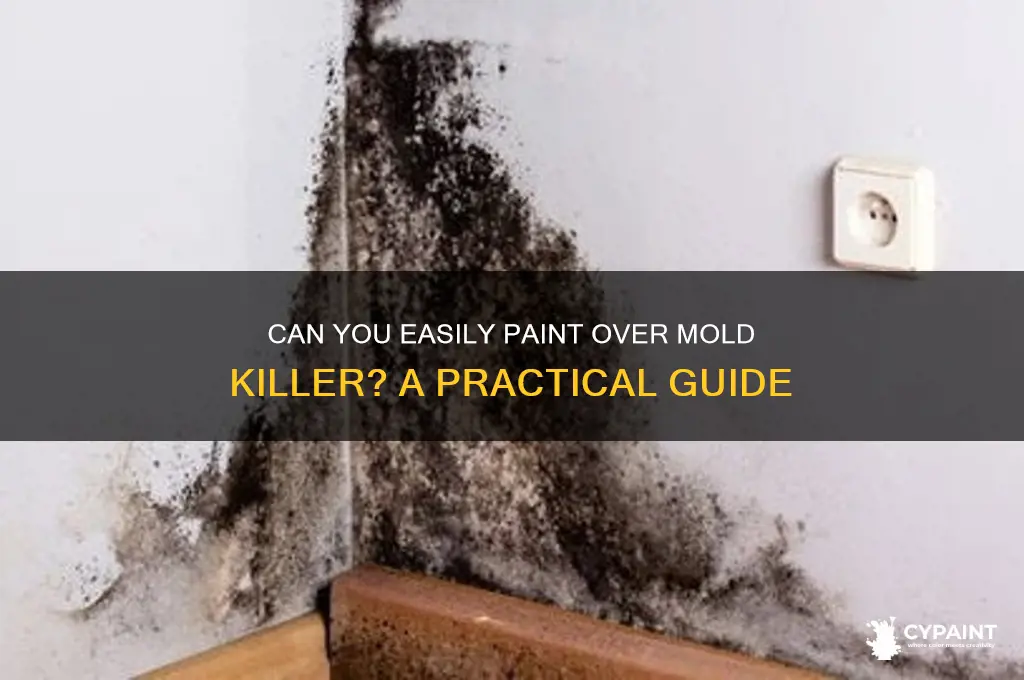 Can You Easily Paint Over Mold Killer? A Practical Guide | CyPaint