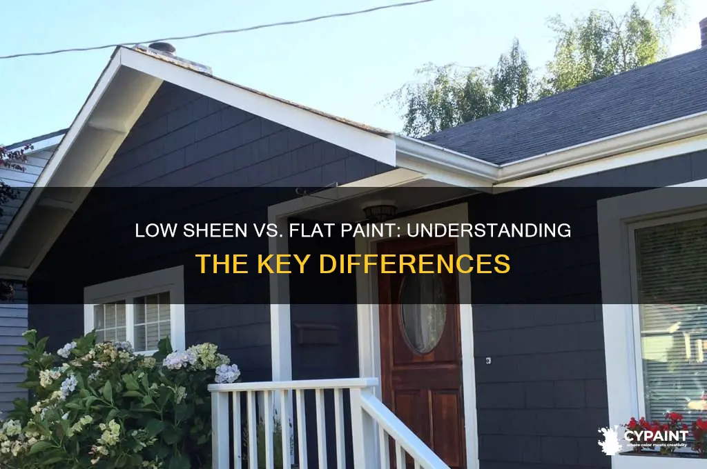 Low Sheen Vs. Flat Paint: Understanding The Key Differences | CyPaint