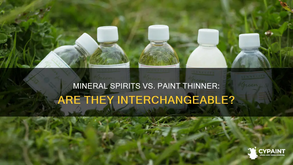 Mineral Spirits Vs. Paint Thinner: Are They Interchangeable? | CyPaint