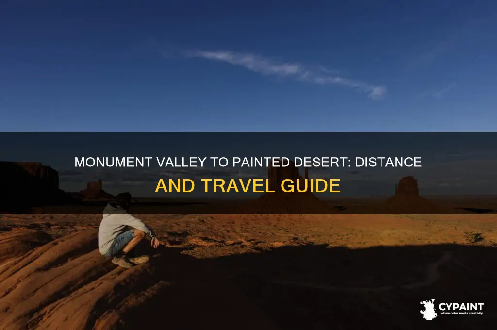 Monument Valley To Painted Desert: Distance And Travel Guide | CyPaint