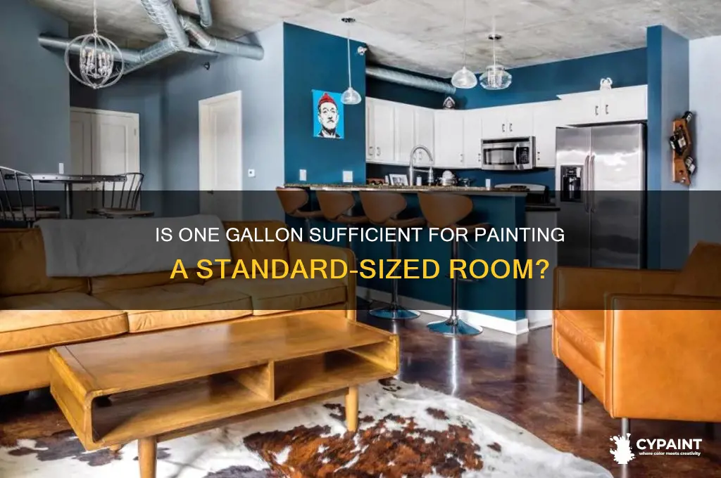 Is One Gallon Sufficient For Painting A Standard-Sized Room? | CyPaint