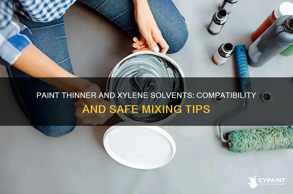 Paint Thinner And Xylene Solvents: Compatibility And Safe Mixing Tips ...