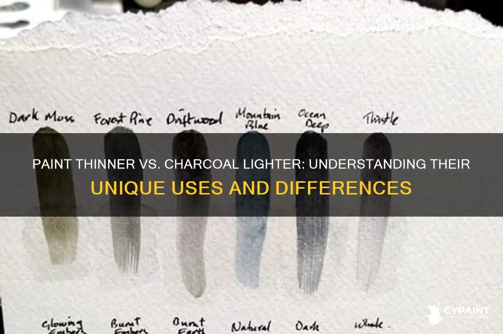 Paint Thinner Vs. Charcoal Lighter: Understanding Their Unique Uses And ...