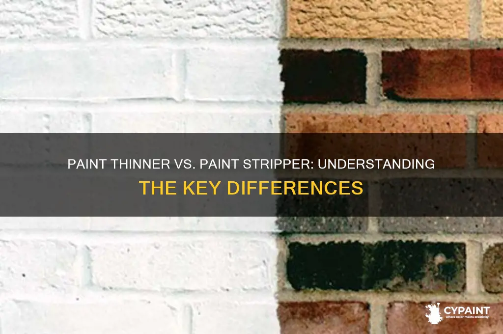Paint Thinner Vs. Paint Stripper: Understanding The Key Differences ...