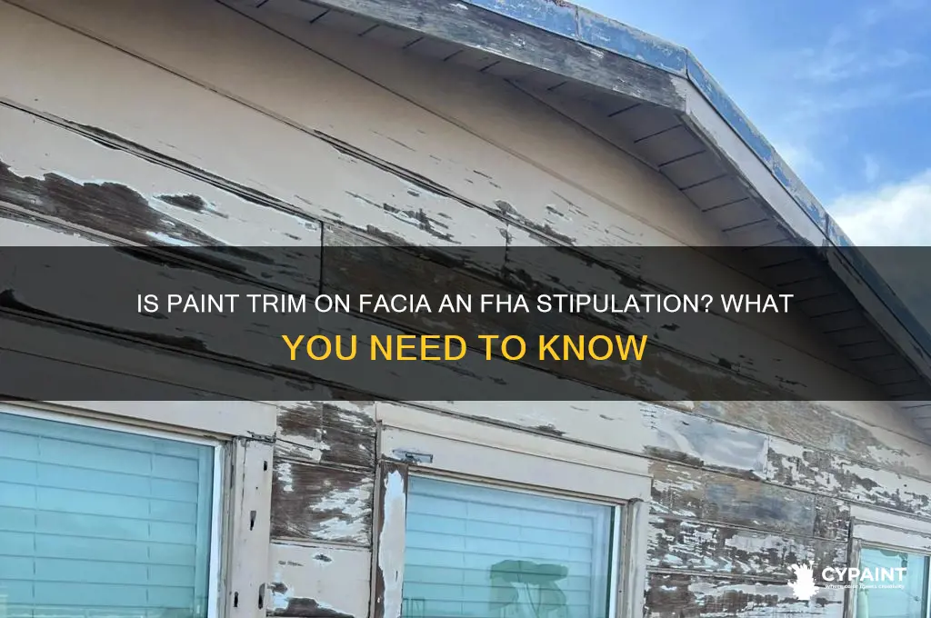 Is Paint Trim On Facia An Fha Stipulation? What You Need To Know | CyPaint