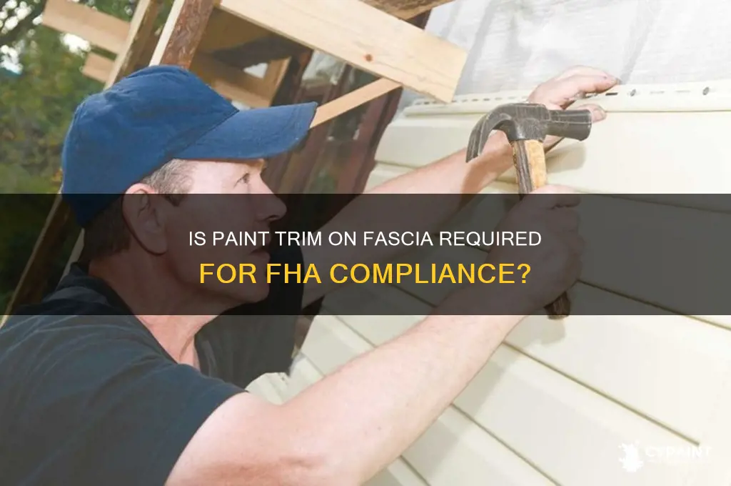 Is Paint Trim On Fascia Required For Fha Compliance? | CyPaint
