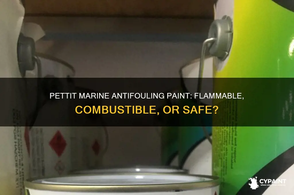 Pettit Marine Antifouling Paint: Flammable, Combustible, Or Safe? | CyPaint
