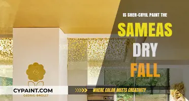 Sher-Cryil Vs. Dry Fall Paint: Understanding The Key Differences | CyPaint