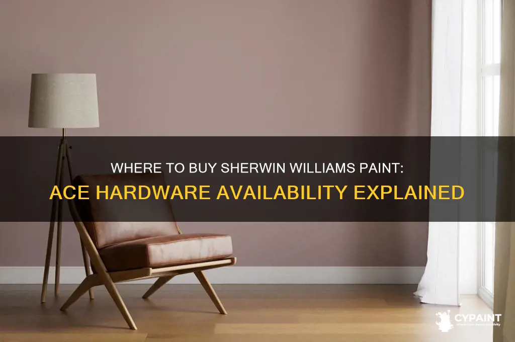 Ace Hardware Sherwin Williams