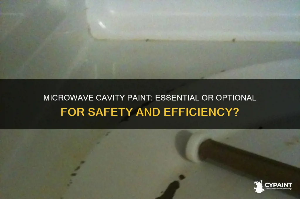 Microwave Cavity Paint: Essential Or Optional For Safety And Efficiency ...
