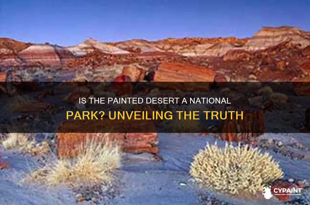 Is The Painted Desert A National Park? Unveiling The Truth | CyPaint