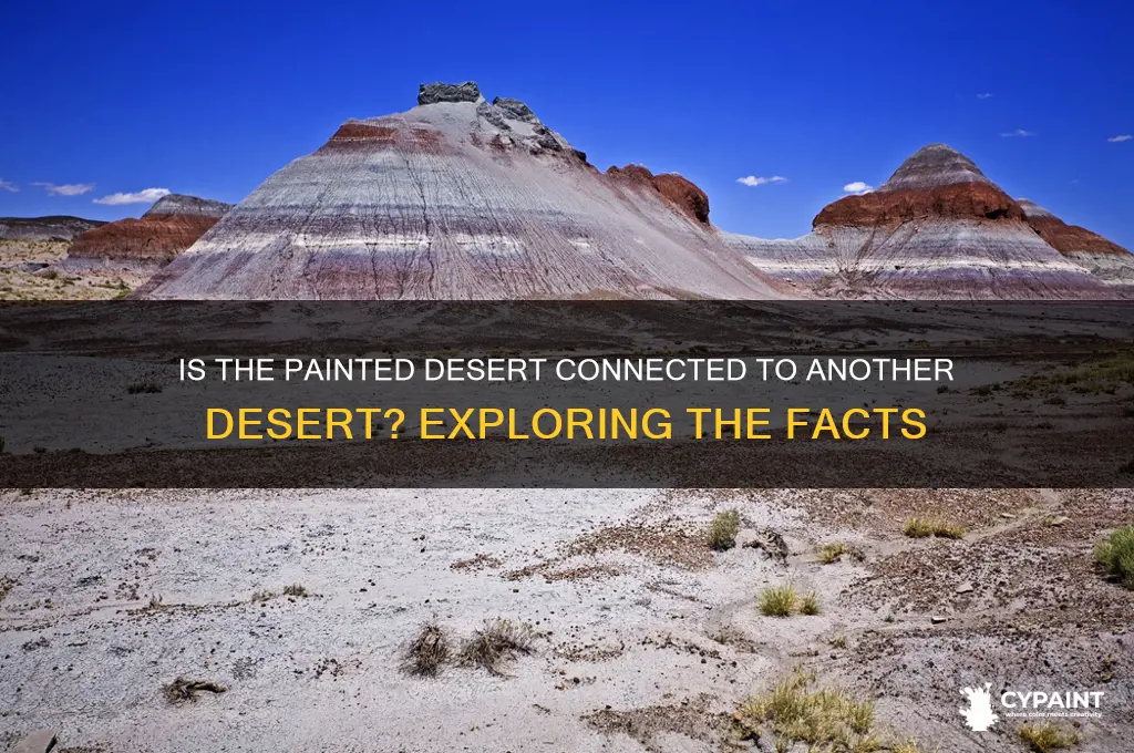 Is The Painted Desert Connected To Another Desert? Exploring The Facts ...