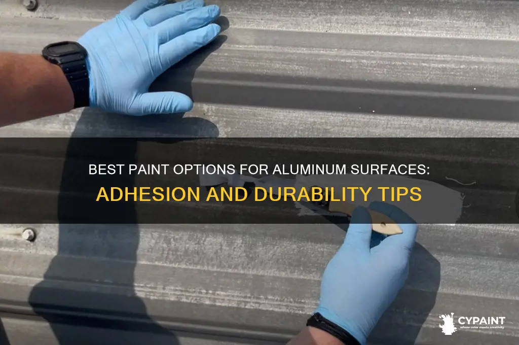 Best Paint Options For Aluminum Surfaces: Adhesion And Durability Tips ...