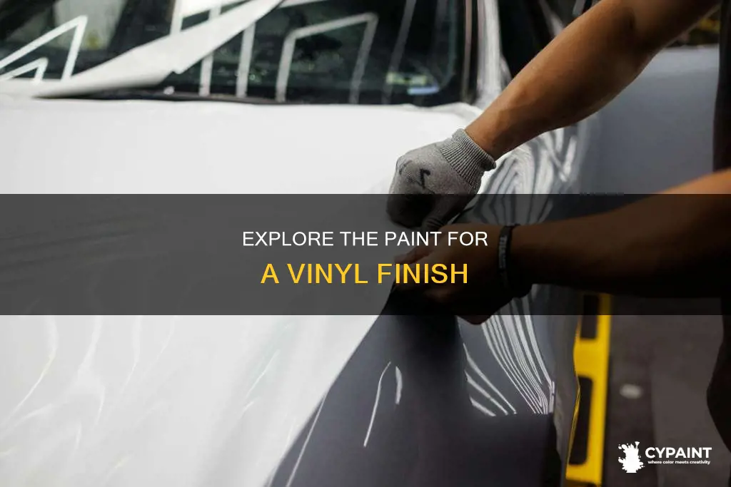 Explore The Paint For A Vinyl Finish | CyPaint
