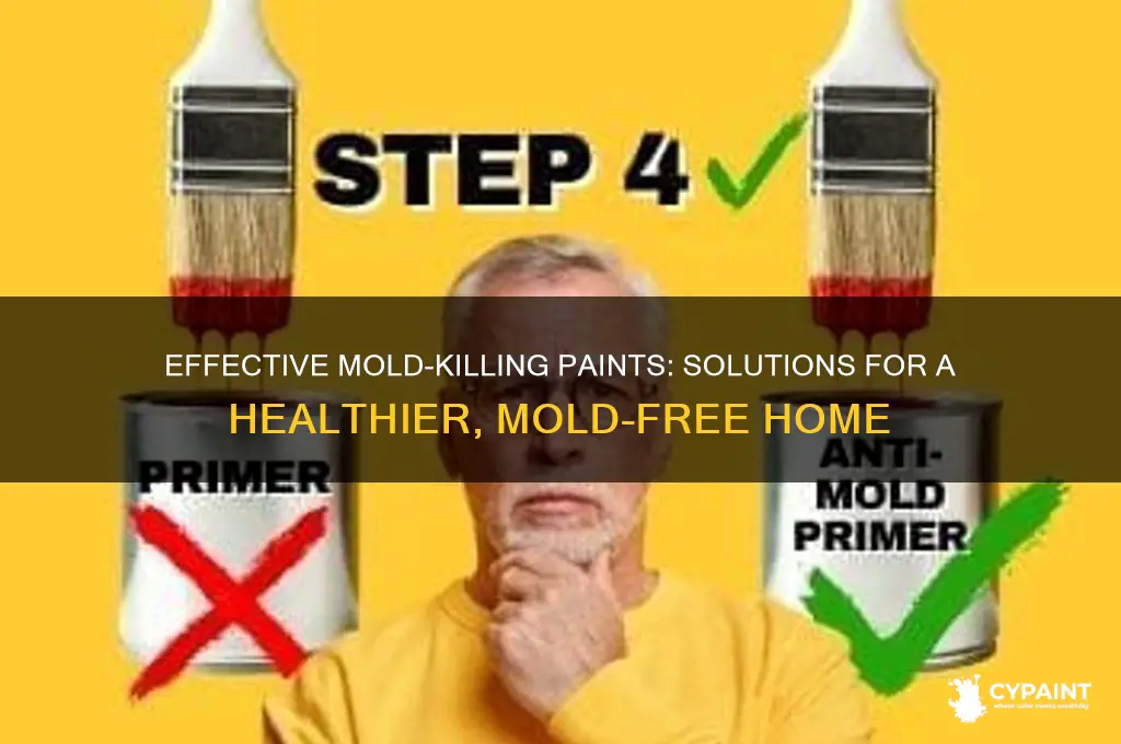 Effective Mold-Killing Paints: Solutions For A Healthier, Mold-Free ...