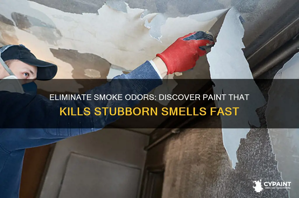 Eliminate Smoke Odors: Discover Paint That Kills Stubborn Smells Fast ...