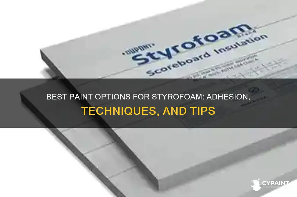 Best Paint Options For Styrofoam: Adhesion, Techniques, And Tips | CyPaint