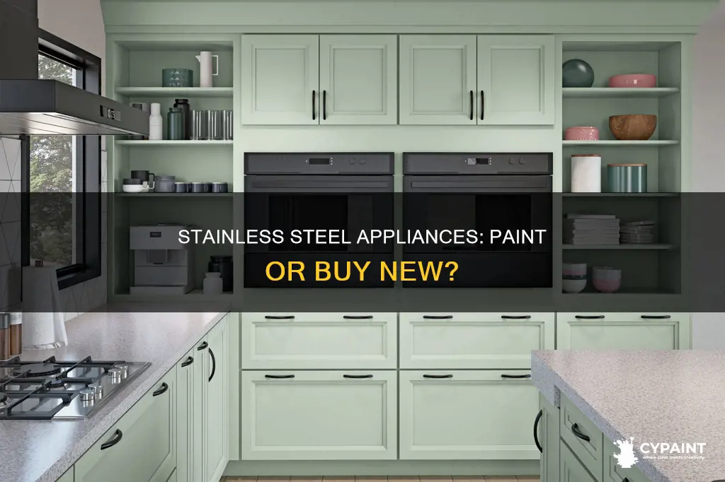 Stainless Steel Appliances: Paint Or Buy New? | CyPaint