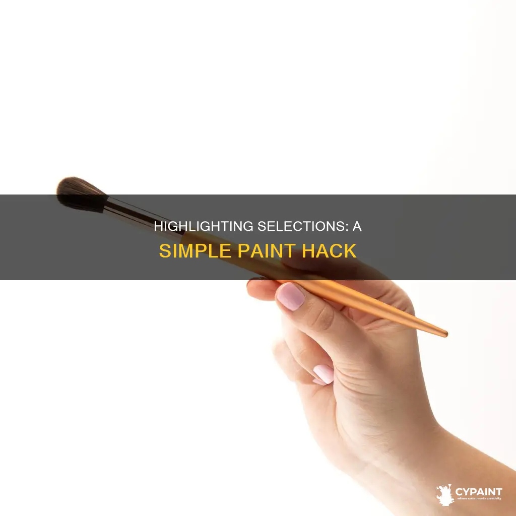 Highlighting Selections: A Simple Paint Hack | CyPaint