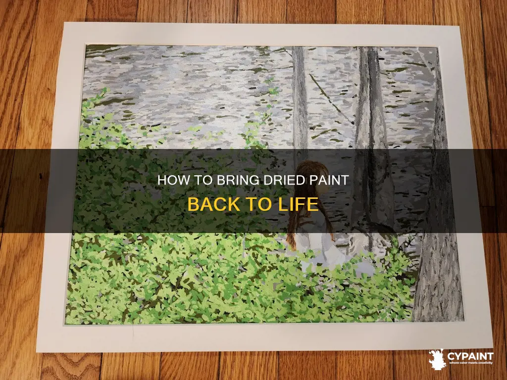 How To Bring Dried Paint Back To Life | CyPaint