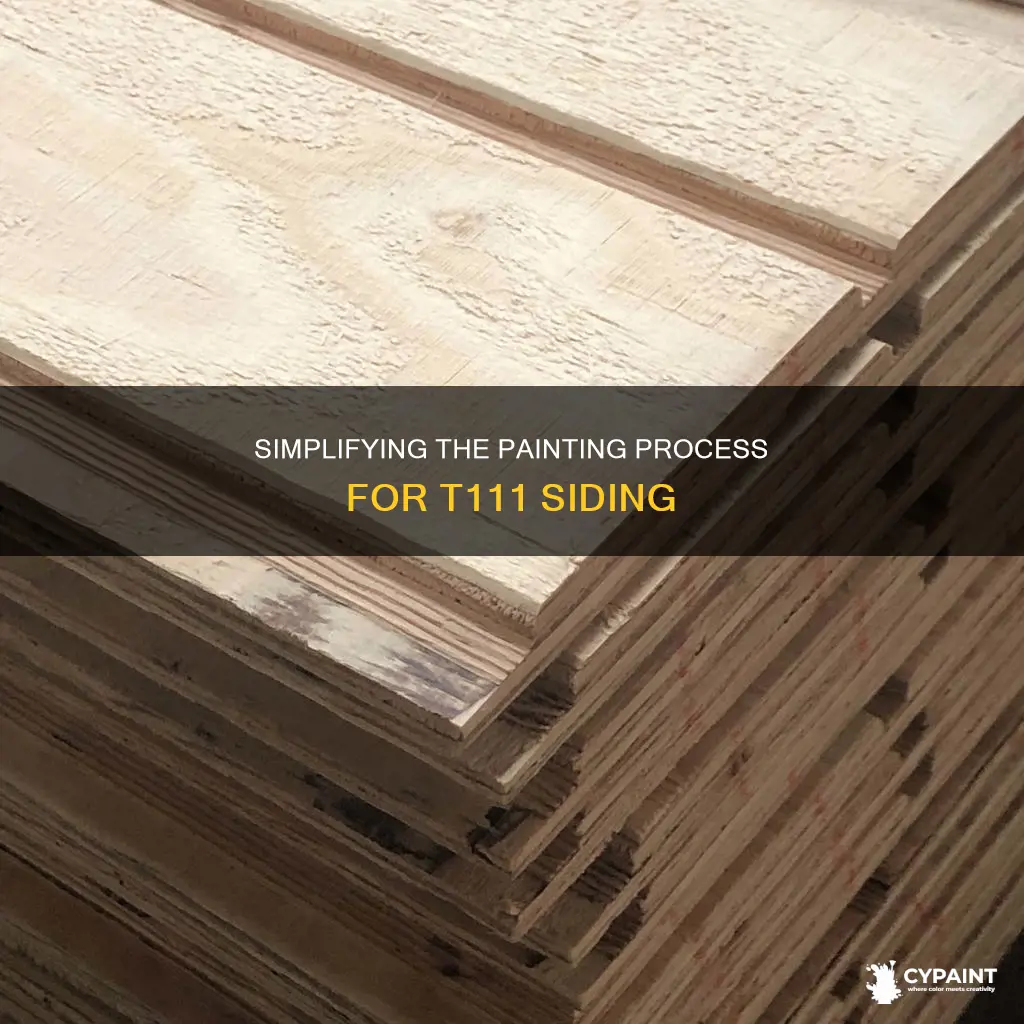 Simplifying The Painting Process For T111 Siding | CyPaint