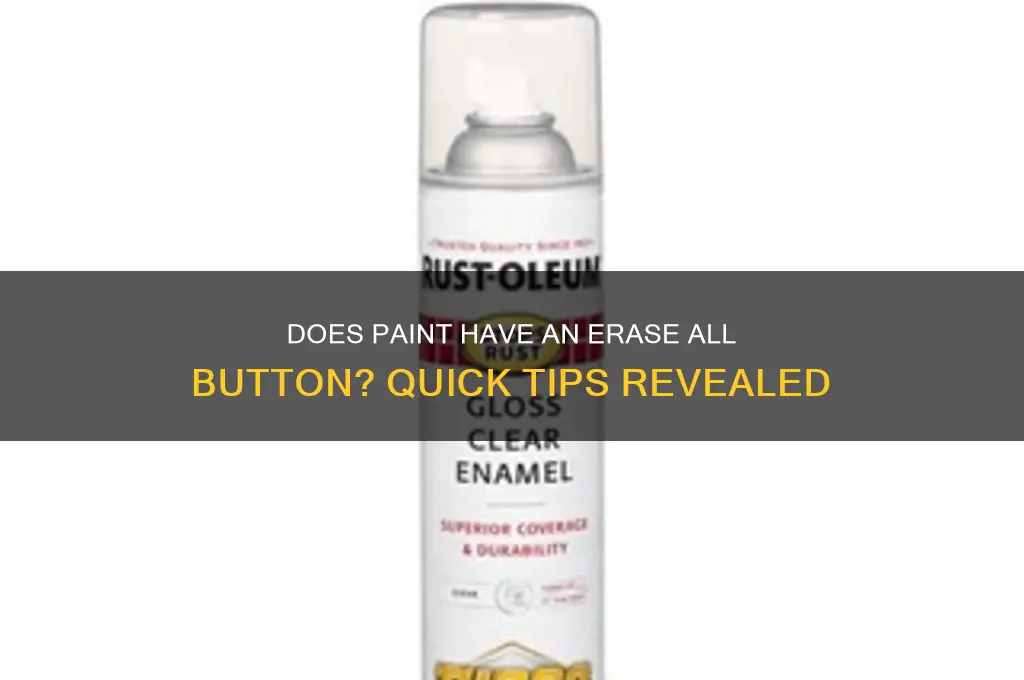 Does Paint Have An Erase All Button? Quick Tips Revealed | CyPaint