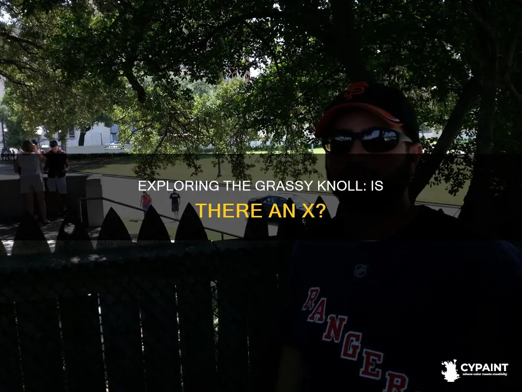 Exploring The Grassy Knoll: Is There An X? | CyPaint