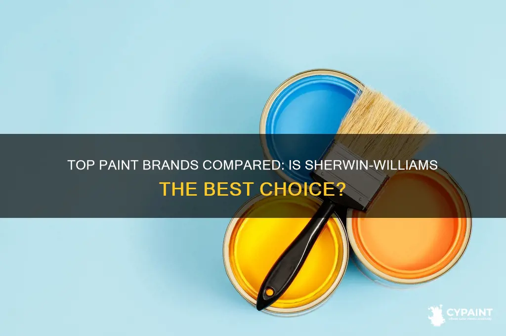 Top Paint Brands Compared: Is Sherwin-Williams The Best Choice? | CyPaint