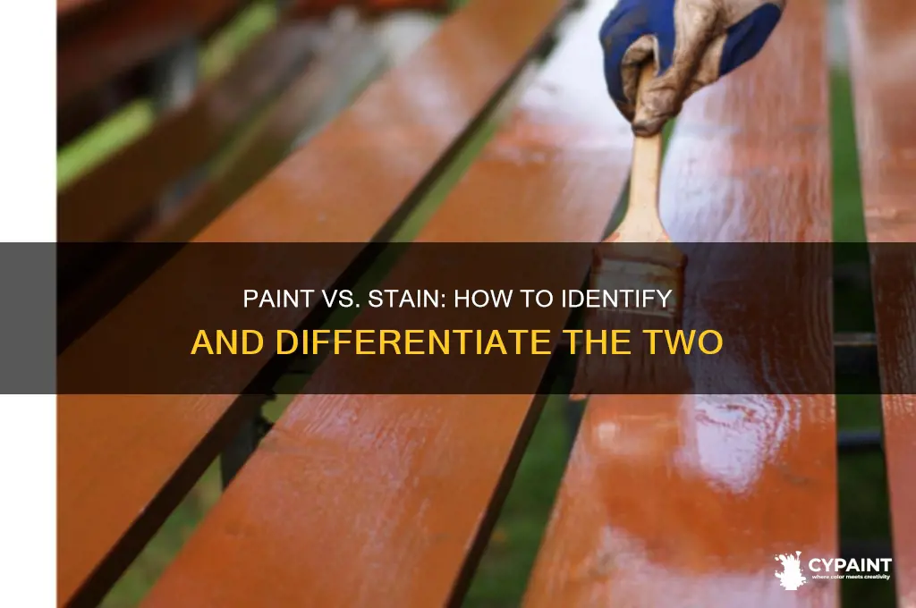 Paint Vs. Stain: How To Identify And Differentiate The Two | CyPaint