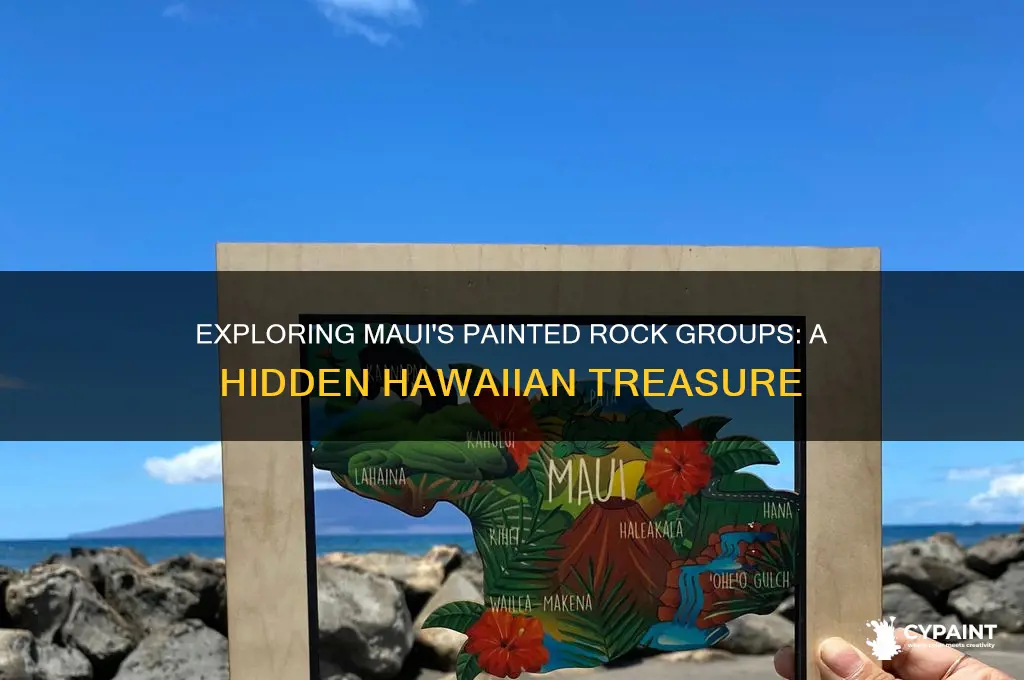Exploring Maui's Painted Rock Groups: A Hidden Hawaiian Treasure | CyPaint