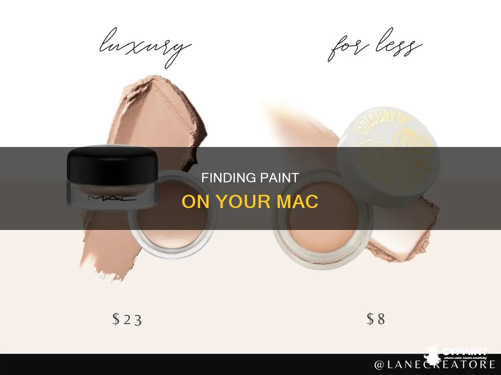 Finding Paint On Your Mac | CyPaint