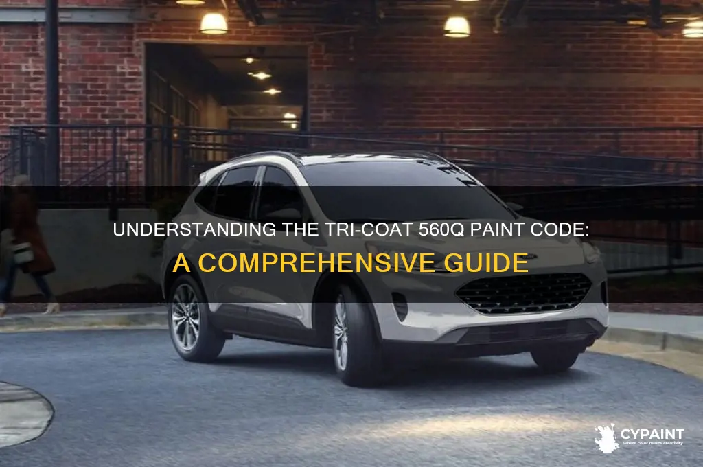 Understanding The Tri-Coat 560Q Paint Code: A Comprehensive Guide | CyPaint
