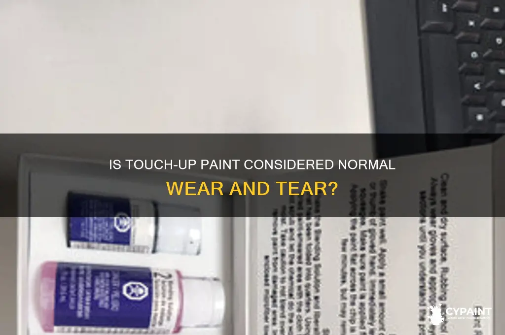 Is Touch-Up Paint Considered Normal Wear And Tear? | CyPaint
