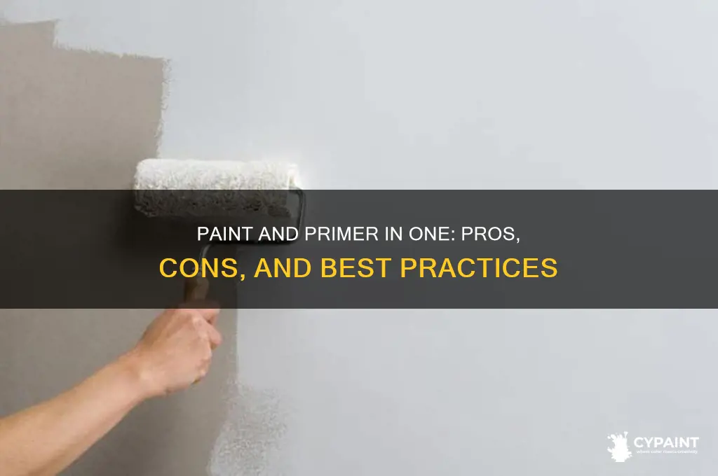 Paint And Primer In One: Pros, Cons, And Best Practices | CyPaint