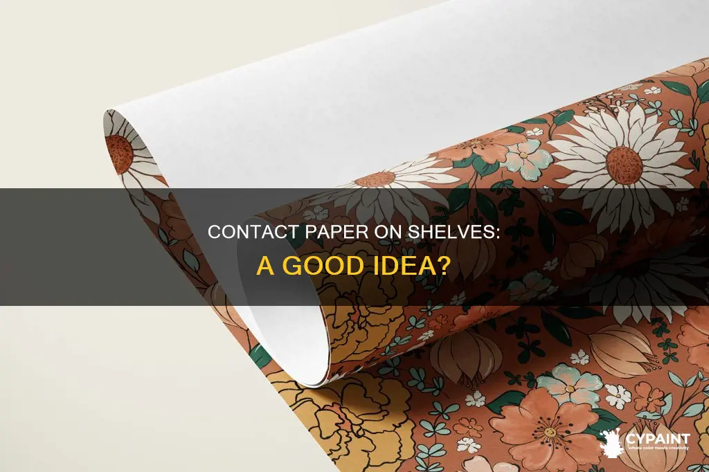 Contact Paper On Shelves: A Good Idea? | CyPaint